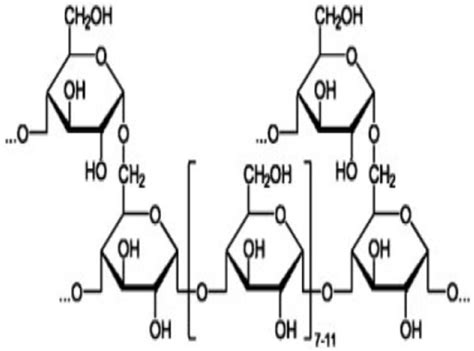 Chemical Structure Of Glycogen 50 Download Scientific Diagram