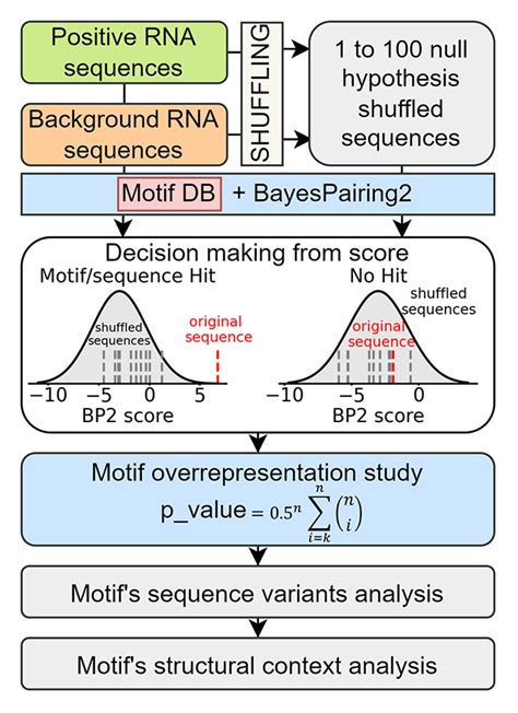 Perfumes Pipeline To Extract Rna Functional Motifs And Exposed