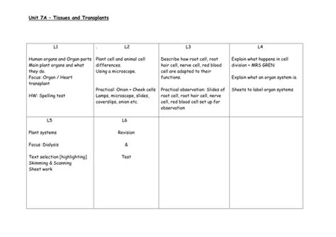 Year 7 Planning Science Lessons Helpful For New To Teaching Teaching Resources