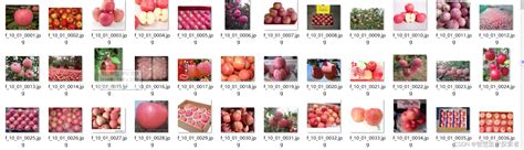 机器学习：训练集与测试集分割traintestsplit划分训练集和测试集代码 Csdn博客