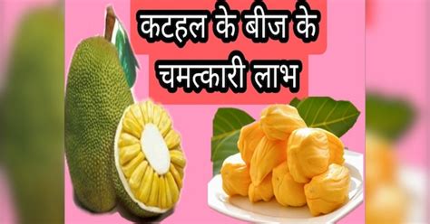 Health Benefits Of Jackfruit Seeds Kathal Ke Beej Khane Ke Fayde