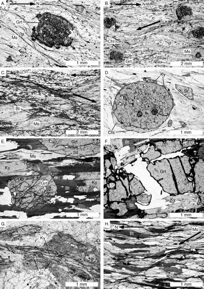 X Ray Maps From Sample 111c Showing Compositional Zoning Patterns For
