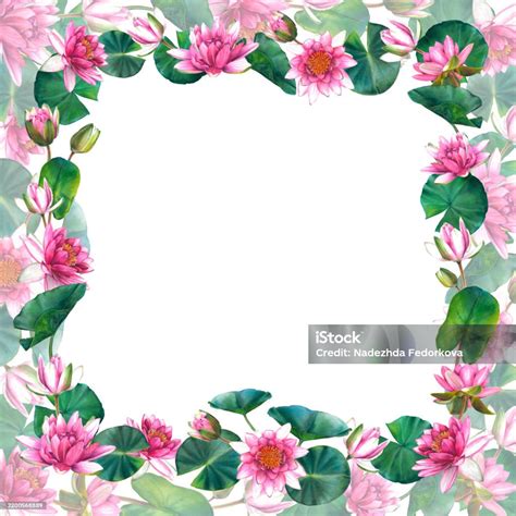 분홍색 수련 꽃 잎 및 새싹이 있는 꽃 사각형 프레임 손으로 그린 수채화 그림 고립된 배경에 연꽃 그림 스파 젠 또는 웨딩 디자인을 위한 이국적인 녹지 꽃다발 0명에 대한