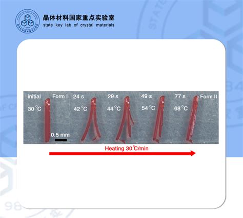 山大与南洋理工合作发现自修复有机共晶 晶体材料全国重点实验室网站