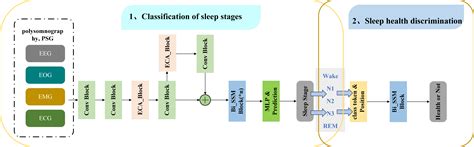 Ecgmamba Towards Efficient Ecg Classification With Bissm Ai Research Paper Details