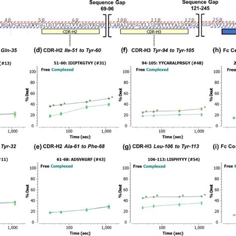 A Peptic Peptide Fragment Ion Coverage Of The Heavy Chain Variable Download Scientific