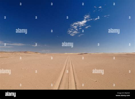 Car Tracks Skeleton Coast Camp Wilderness Safaris Skeleton Coast