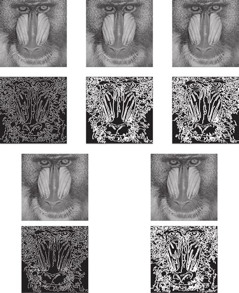 Stego Image Results And Its Edge Area From The Proposed Method And