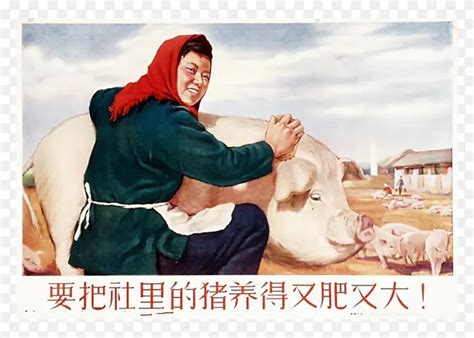 Png Yzoelzpj