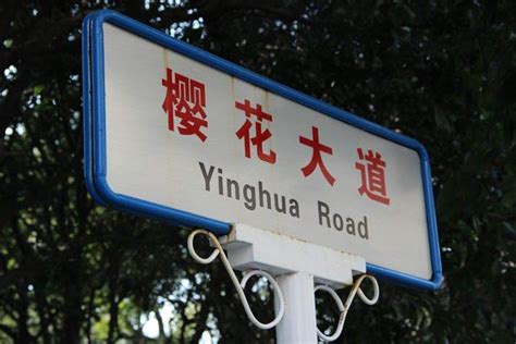 高校風光之武漢大學 每日頭條