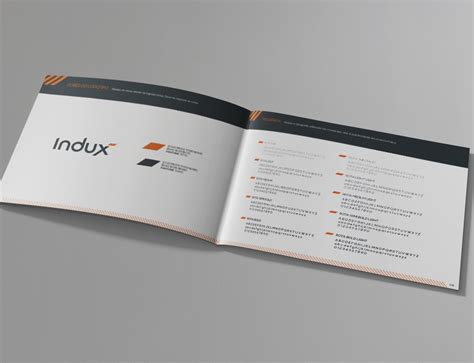 Indux Naming And Branding Indesign