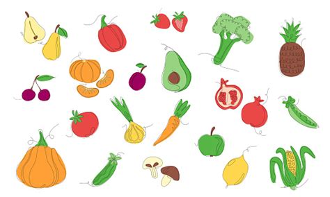과일 딸기 및 야채 세트 과일과 야채 미니멀리스트 검은 선형 스케치와 컬러 스케치는 흰색 배경에 고립되어 있습니다 벡터 일러스트 레이 션 10월에 대한 스톡 벡터 아트 및