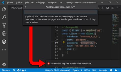 How Can I Set My Ssl Certificate File And Key File Issue Borvik Vscode Postgres GitHub