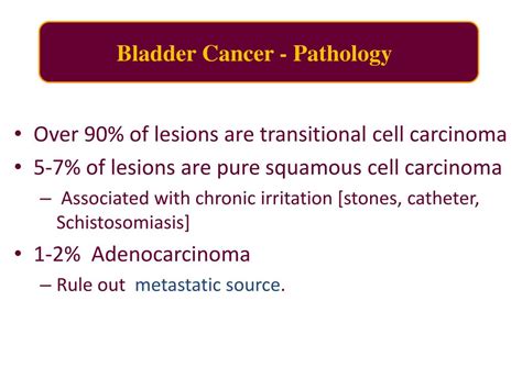 Ppt Bladder Cancers Powerpoint Presentation Free Download Id3063507