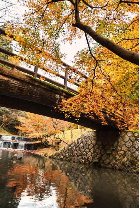 赤坂山公園の木橋 GANREF