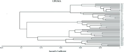 dendrogram from amplification of six issr and six rapd primers which