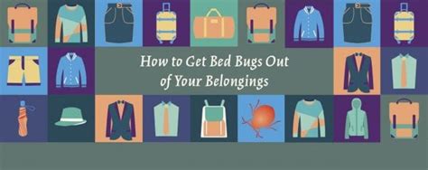 Bugs In Your Bed Ipm Solution At Your Fingertips Think Ipm Blog