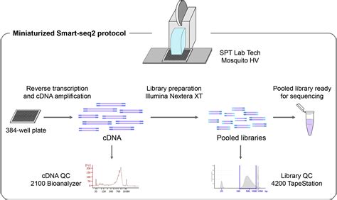 Smart Seq2 Colorfulbiolifecolorfulbiolife