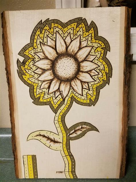 Homemade Cribbage Board