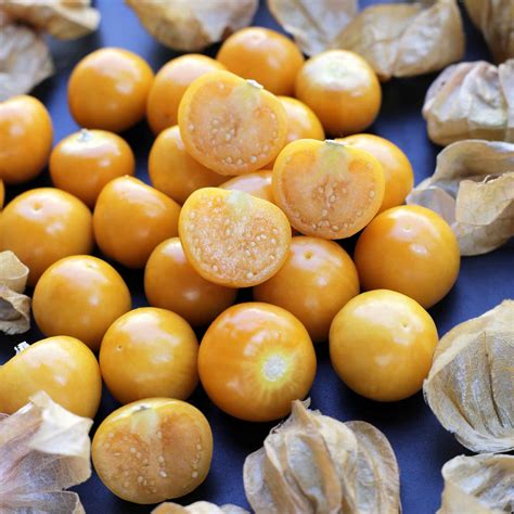 Bulk Tomatillo Seeds Pineapple Bulk Seed Store
