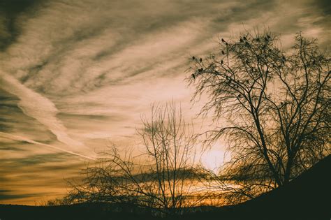 무료 이미지 분기 나무 구름 자연 경관 분위기 잔광 대기 현상 일몰 저녁 황혼 해돋이 우디 식물 햇빛 수평선 경치 작은 가지 농촌 지역
