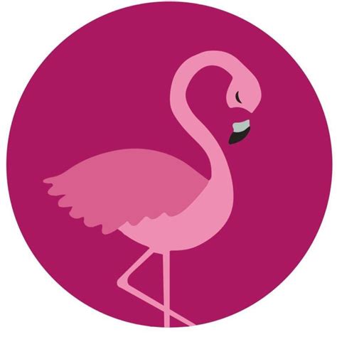 متجر فلامنقو