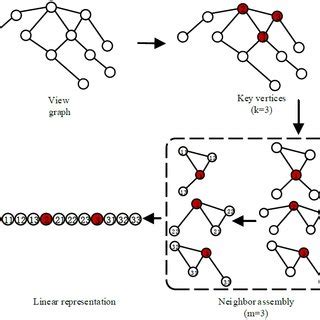 Graph To Vector Method Download Scientific Diagram