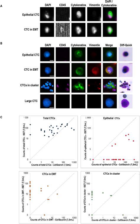 Phenotypic Heterogeneity Of Ctcs Isolated By Cellsearch And Iset A Download Scientific