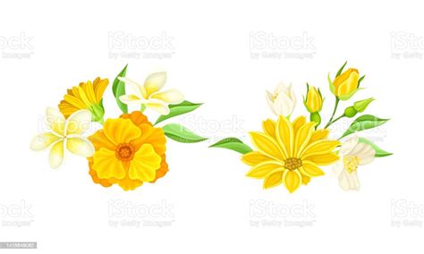 피는 노란색과 흰색 봄과 여름 꽃은 벡터 일러스트 레이 션을 설정합니다 0명에 대한 스톡 벡터 아트 및 기타 이미지 0명 계절 국화 Istock