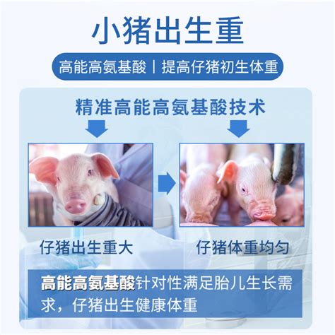 【普吉奶猪12】普爱12母猪浓缩饲料 妊娠后期料 哺乳期饲料浓缩料母猪料 哺乳料 哺乳饲料 普爱旗舰店 金猪商城