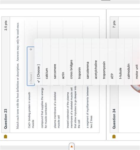 Solved Please Help Match Each Term With Its Corresponding