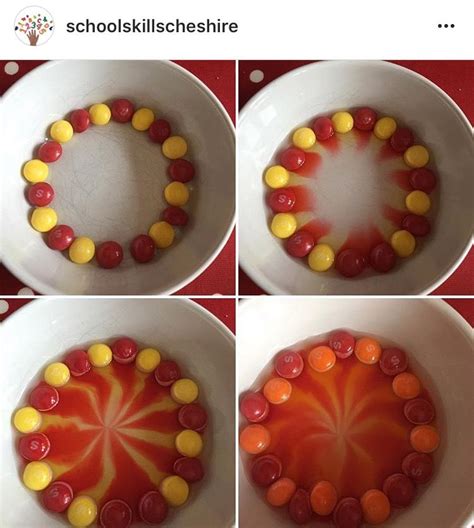 Skittle Experiment Colour Sorting And Mixing Food Desserts Color Sorting
