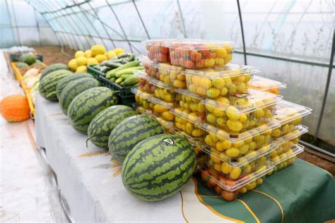 Энэ жил хүнсний ногооны хэрэгцээний 82 хувийг дотоодоос хангах боломж бүрджээ Nio Mn