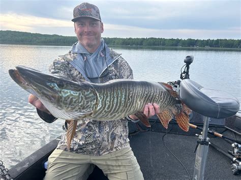The Best Tiger Muskie Lures Finally Baits Built For The Beast