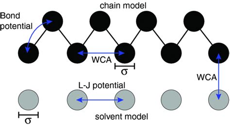 Particle Interactions Scheme Dark Circles Correspond To Beads In The Download Scientific