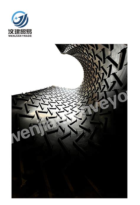 Pattern Conveyor Belt WenJian