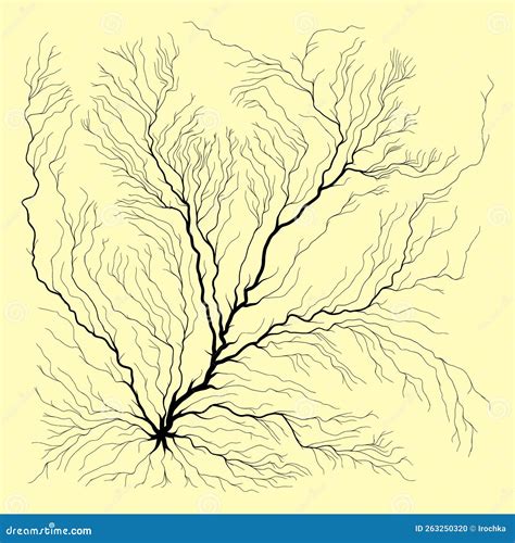 Abstract Circle Shape Illustration Of Tree Roots Stock Vector Illustration Of Roots Shape