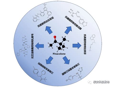 山东好成果 突破关键技术 填补国内空白 医药中间体频哪酮实现清洁生产创新产品