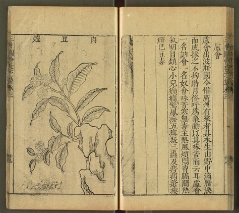 三才图会 明代刊本 鲤画美术馆