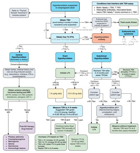 Zeeshan Ahmed Khattak On Linkedin Hypothyroidism Approach