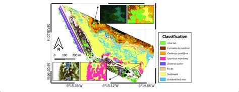 Spectral Angle Classifier Trained Using Image Derived Spectra