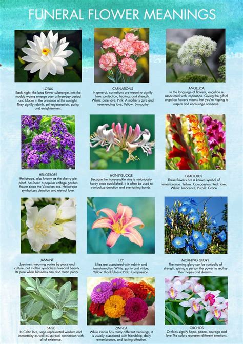 Funeral Flowers Meaning