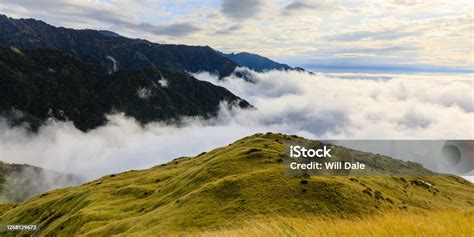 프란츠 요제프의 산봉우리들이 구름의 반전 위로 솟아오르고 있다 프란츠 요제프 빙하 남섬 뉴질랜드 0명에 대한 스톡 사진 및 기타 이미지 Istock