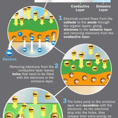 PDF Organic Light Emitting Diodes OLED