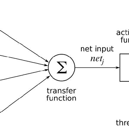 Structure Of Artificial Neuron Download Scientific Diagram