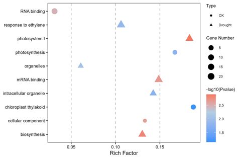 R语言绘图 两组或多组go Kegg富集结果气泡图 知乎