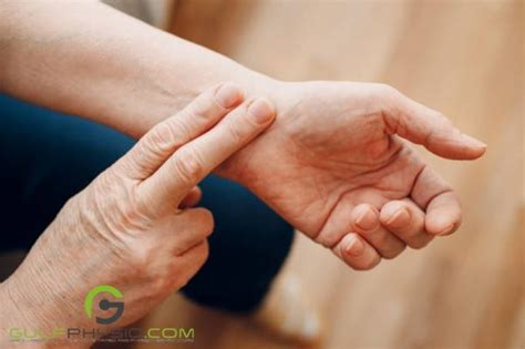Pulse Check A Beginners Guide To The Human Heart Rate GulfPhysio UAE S Online