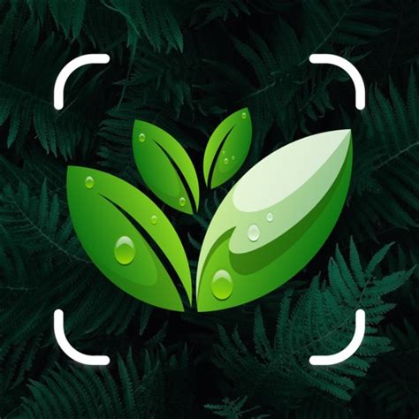 Identify Trees Plant Care By Nguyen Duc Tien