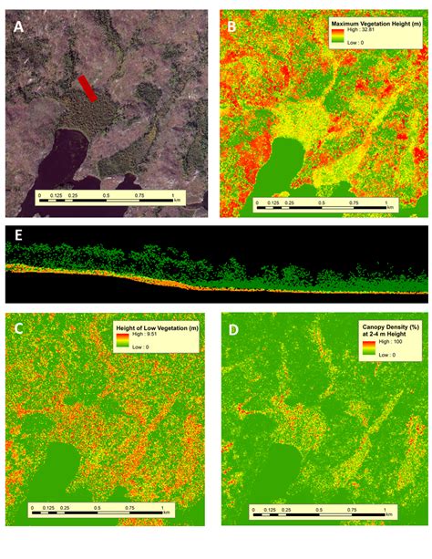Quantifying Understory Fuels Using Lidar Data In The Superior National Forest Land Imaging