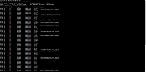 Webdock An Introduction To Netstat